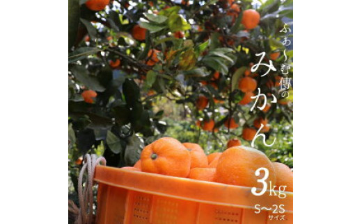 DC6002n_ふぁ～む傳の「みかん」 3kg S～2Sサイズお任せ | 和歌山県湯浅町ふるさと納税特設サイト「ゆあさんぽ」