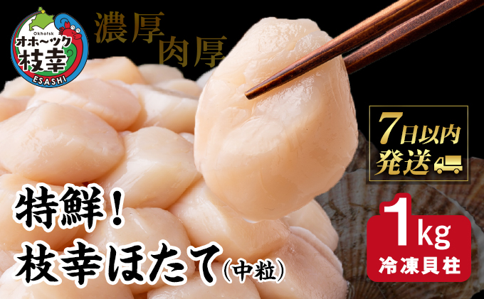 特鮮！枝幸ほたて（中粒）冷凍貝柱1kg（3S～4Sサイズ） / 北海道枝幸町 | セゾンのふるさと納税