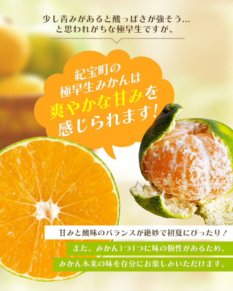 【先行予約】\ たっぷり大容量 ／ 訳あり 極早生温州みかん 6.5kg＋傷み保証分300g 2S～3Lサイズおまかせ 【2024年9月下旬から10月中旬までに順次発送致します。】 / 三重県 ...