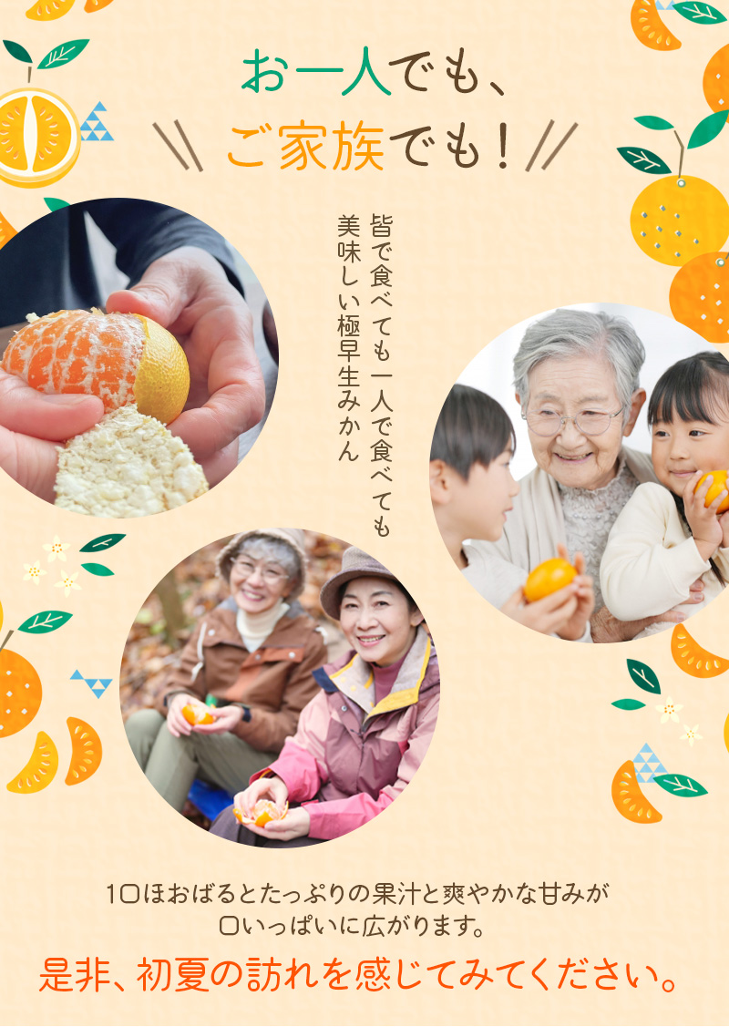 【先行予約】\ たっぷり大容量 ／ 訳あり 極早生温州みかん 6.5kg＋傷み保証分300g 2S～3Lサイズおまかせ 【2024年9月下旬から10月中旬までに順次発送致します。】 / 三重県 ...