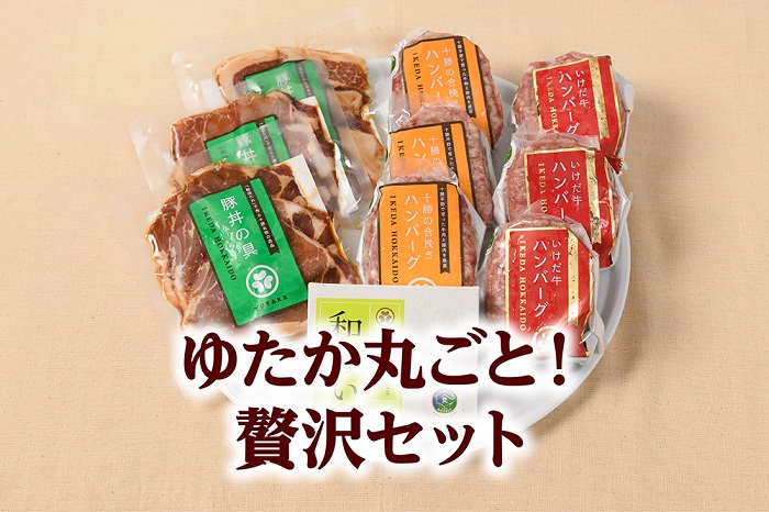 北海道ご馳走家ゆたか贅沢セット 4種類10個1350g 豚丼 豚丼の具 ハンバーグ 牛ハンバーグ 合挽ハンバーグ チーズ 冷凍 小分け 焼くだけ 温めるだけ セット 詰合せ ギフト 贈答 ...