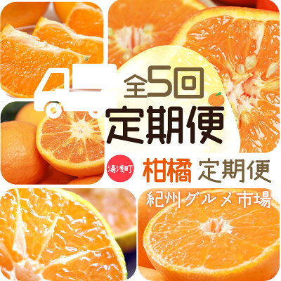 ZA94126n_【定期便 全5回】湯浅町 柑橘 定期便【紀州グルメ市場】 / 和歌山県湯浅町 | セゾンのふるさと納税