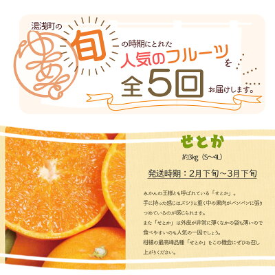 ZA94126n_【定期便 全5回】湯浅町 柑橘 定期便【紀州グルメ市場】 / 和歌山県湯浅町 | セゾンのふるさと納税