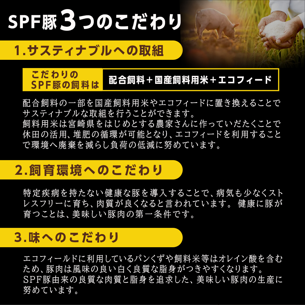 ≪6回連続お届け≫「宮崎SPF豚」日替わりバラエティセット定期便_T96-6-K901 / 宮崎県都城市 | セゾンのふるさと納税