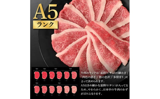 土佐和牛最高級A5特選濃厚牛バラスライス450g 牛肉 肉 お肉 和牛 国産 牛 バラ スライス A5 最高級 特選 霜降り 国産 豪華 贅沢 美味しい 柔らかい 肉汁 すき焼き しゃぶしゃぶ ...
