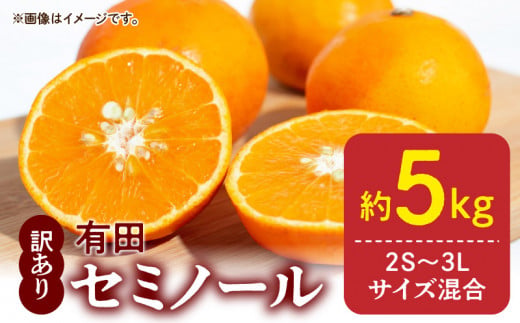 DZ6211_Y_【直営限定】訳あり セミノール 和歌山 有田 2S～3Lサイズ混合 5kg | 和歌山県湯浅町ふるさと納税特設サイト「ゆあさんぽ」