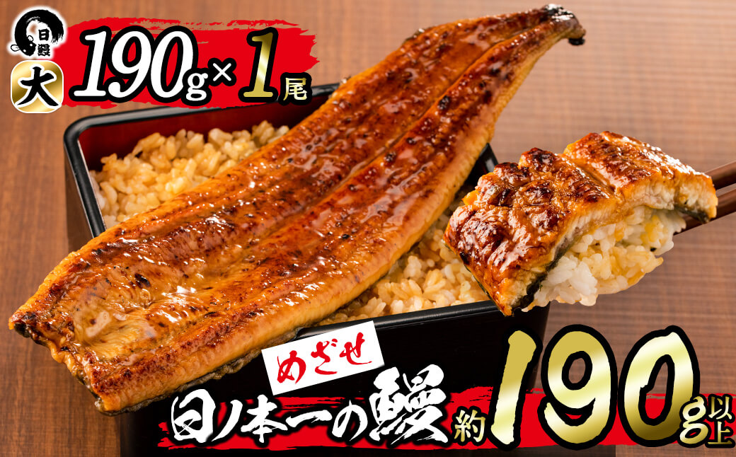 日ノ本一の鰻の蒲焼き＜大＞1尾(約190g以上) a3-202 / 鹿児島県志布志市 | セゾンのふるさと納税
