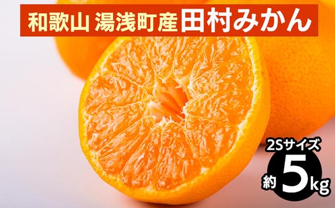 和歌山 湯浅町産 田村みかん 5kg【2Sサイズ】 ※2025年11月中旬～2026年1月中旬頃に順次発送予定（和歌山県美浜町） | ふるさと納税サイト「ふるさとプレミアム」